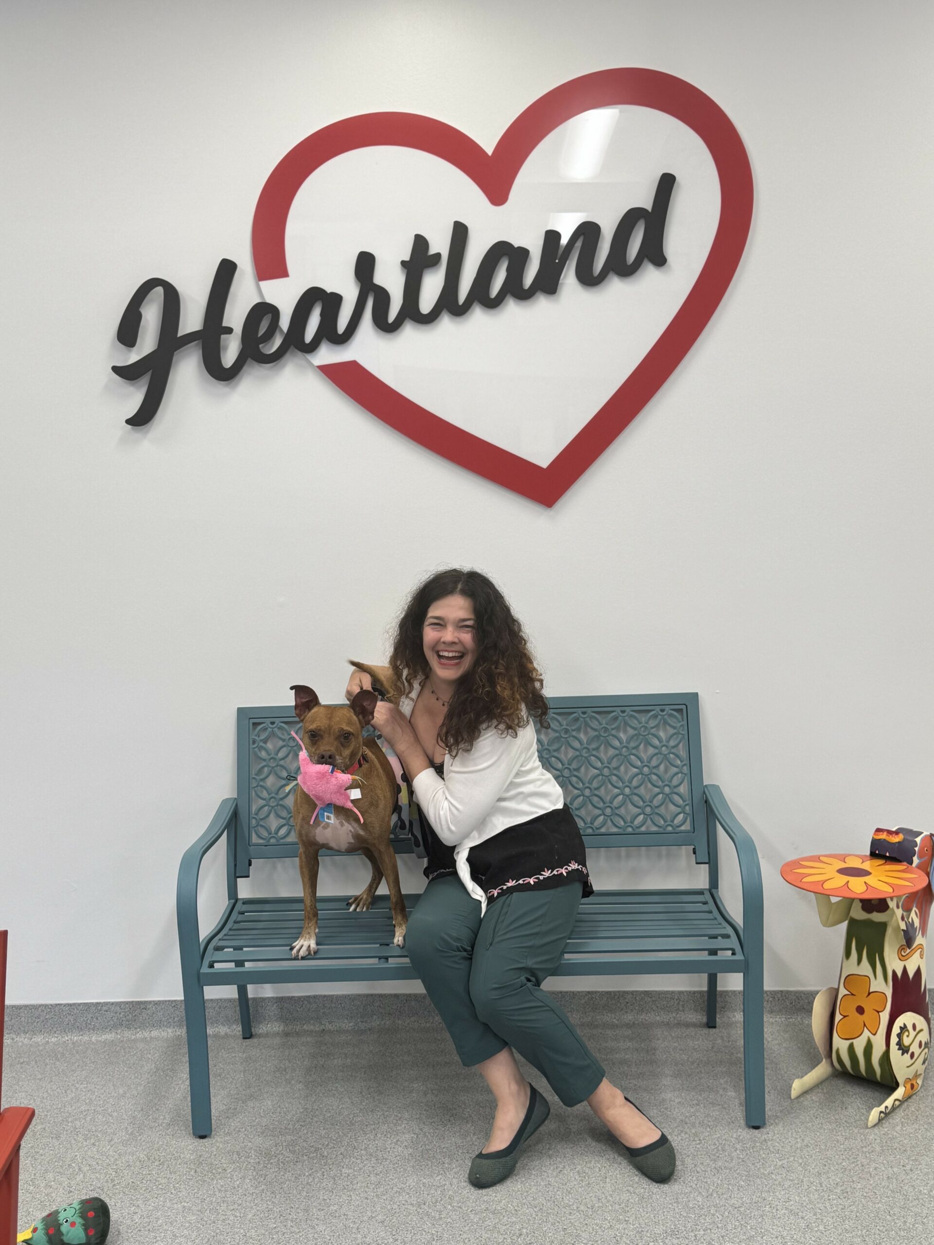 Jenny 2 - Heartland Animal Shelter