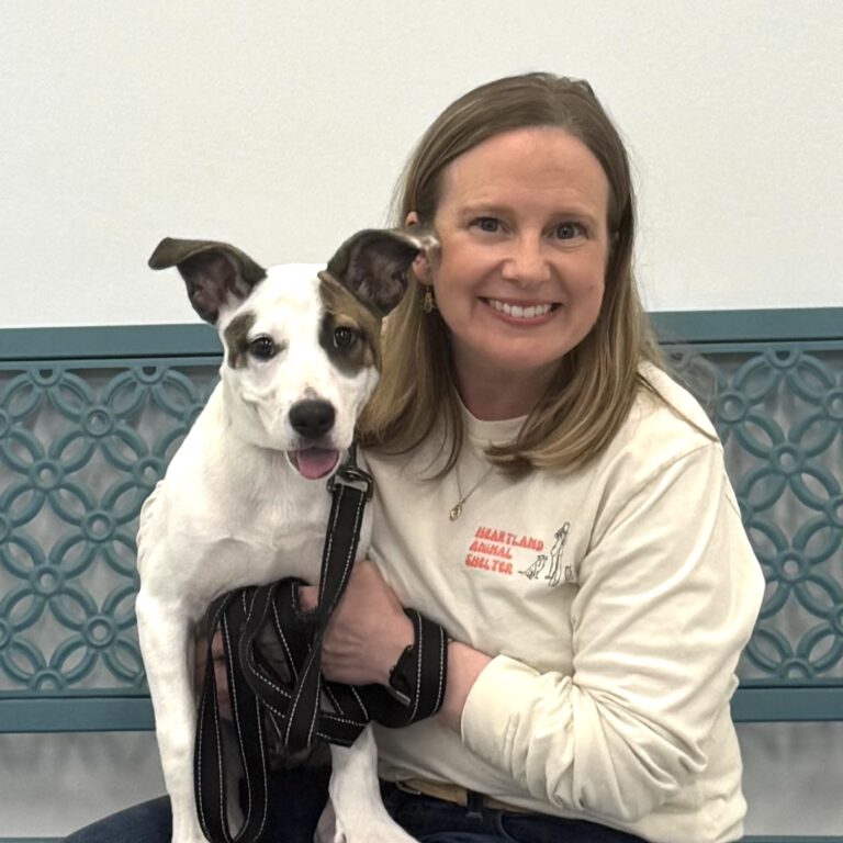 Paige - Heartland Animal Shelter